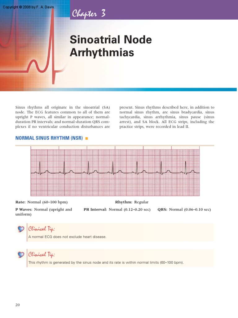 Test For EKG READings | PDF