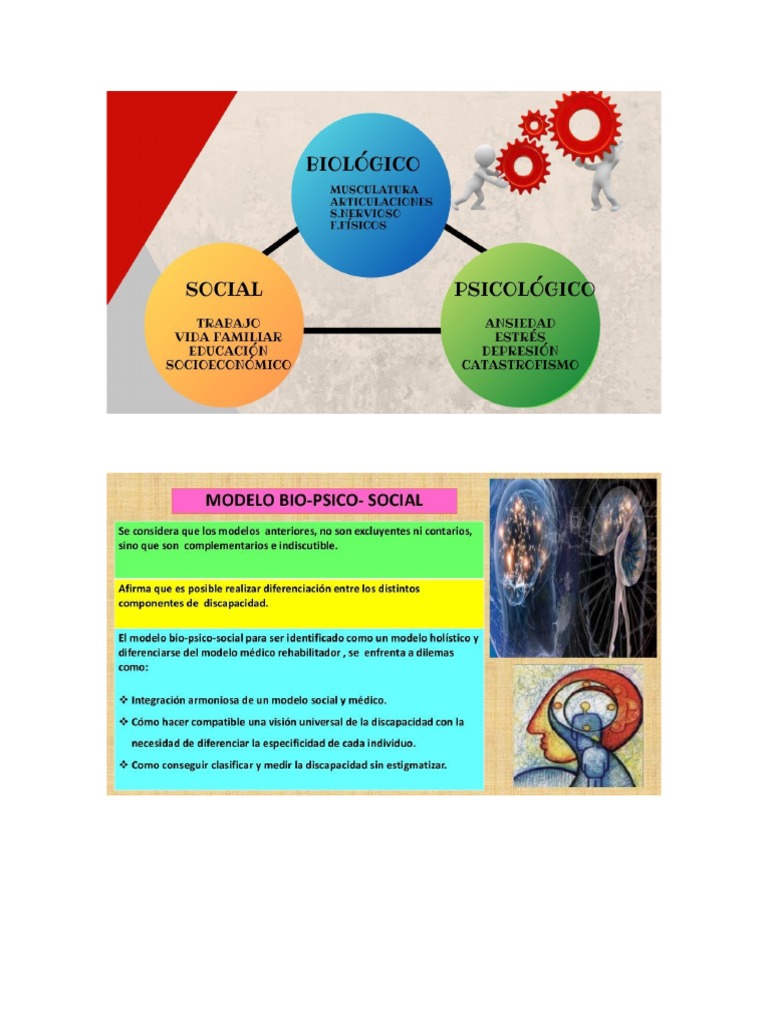 Modelo Biopsicosocial | PDF | Invalidez | Psicoterapia