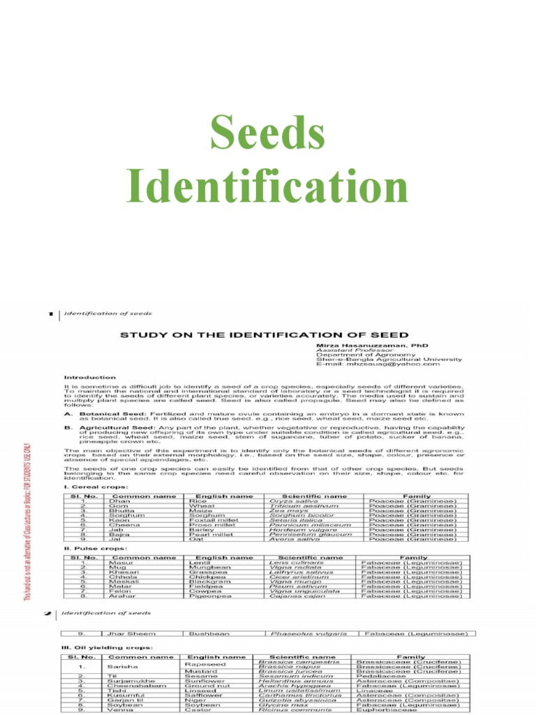 Seeds Identification | PDF