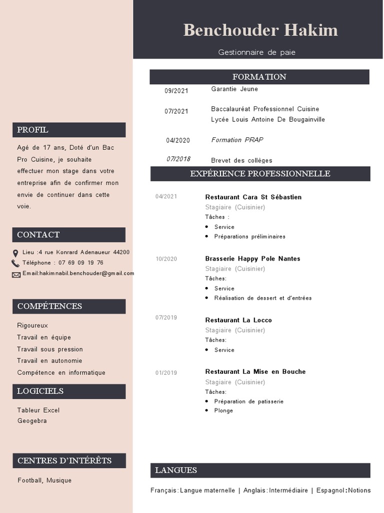 cv hakim 1 (1) | PDF