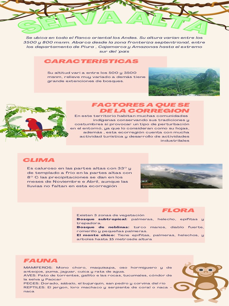 Selva Alta | PDF | Selva | Ciencias de la Tierra