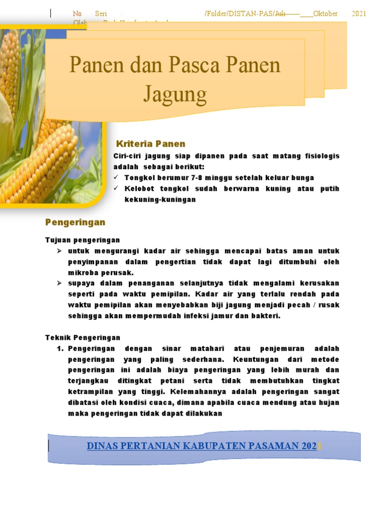 Ciri dan Proses Panen Jagung Manis | PDF | Teknologi & Rekayasa