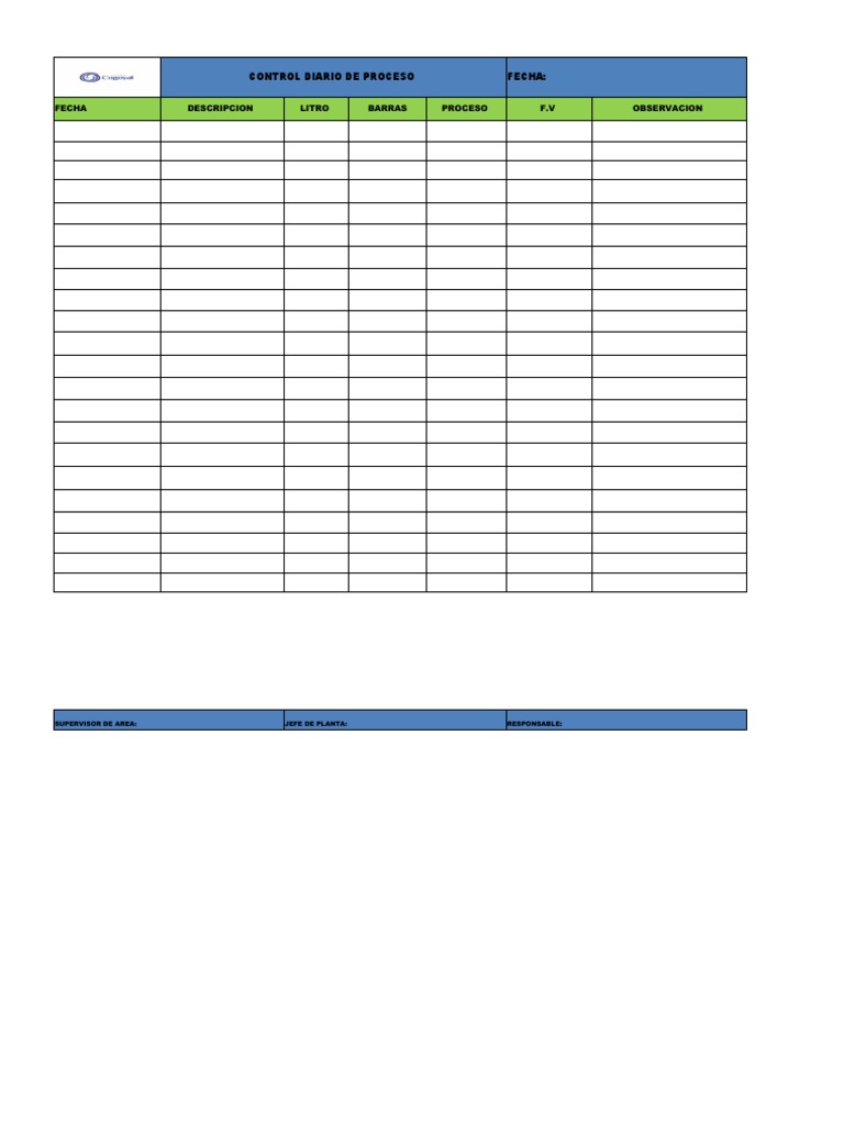 Control Diario de Proceso Planillas | PDF
