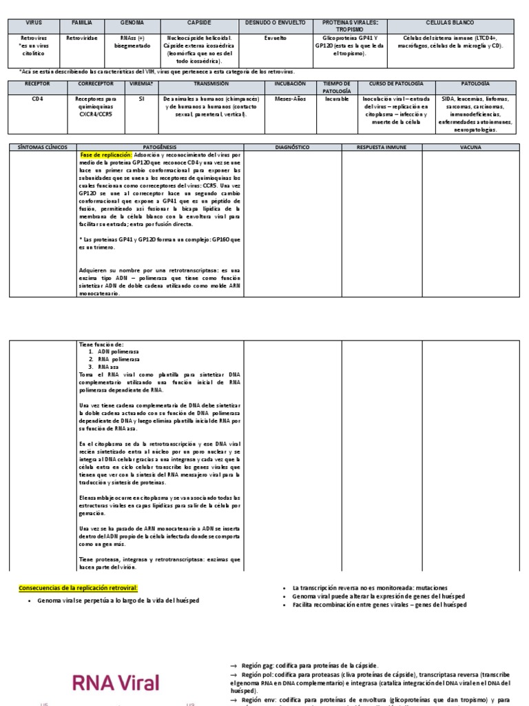 RETROVIRUS | PDF | La transcriptasa inversa | Rna