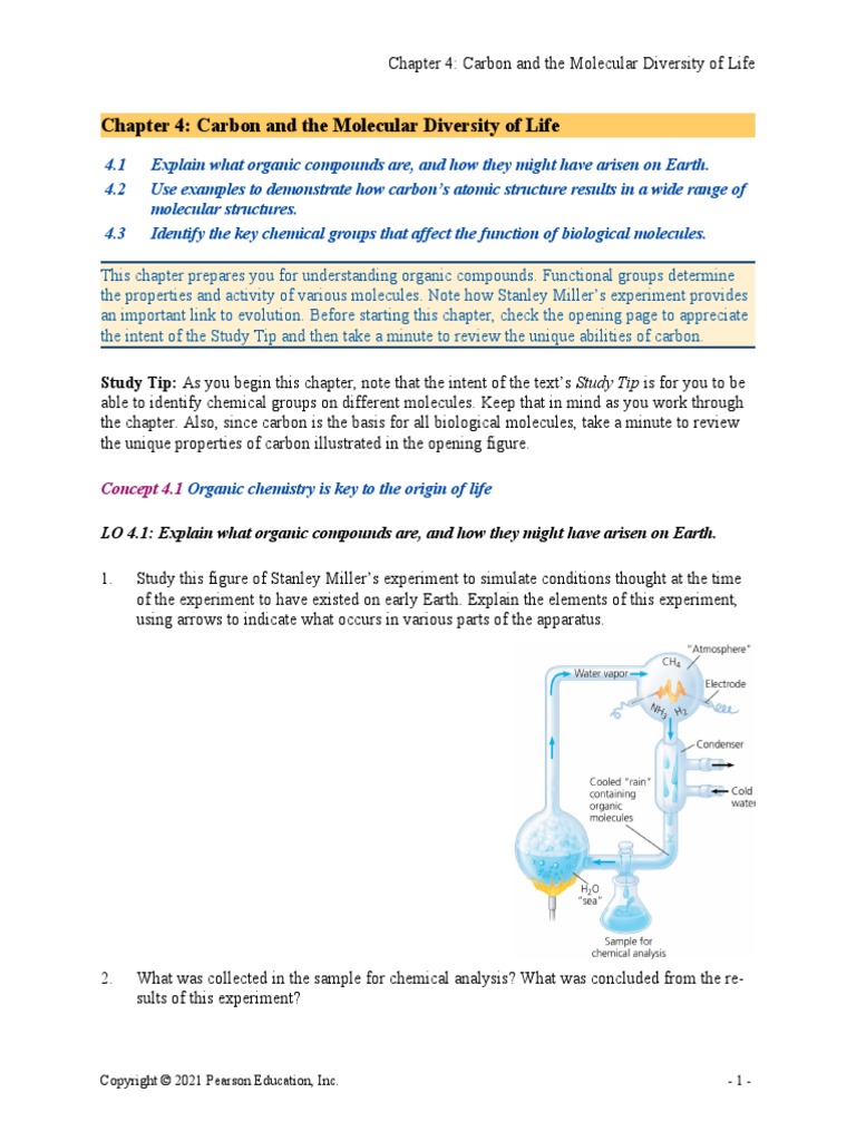 CH 4 Reading Guide | PDF