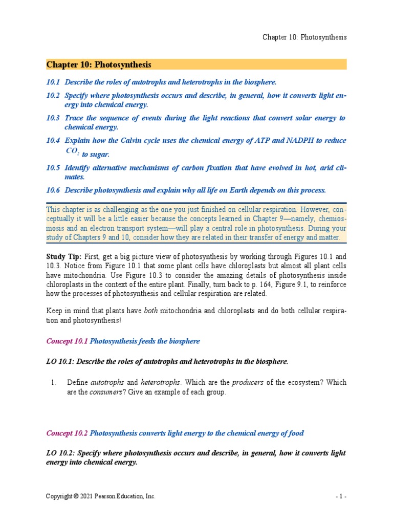 CH 10 Reading Guide | PDF | Photosynthesis | Cellular Respiration