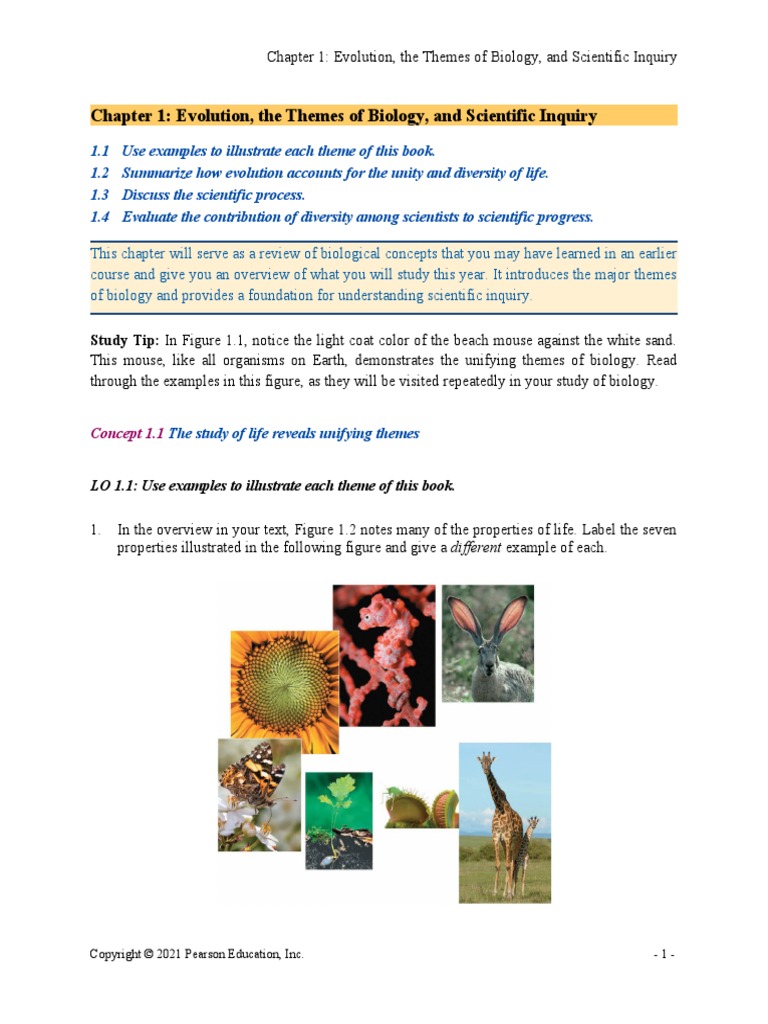 CH 1 Reading Guide | PDF