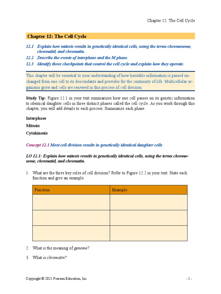 CH 12 Reading Guide | PDF | Mitosis | Chromosome