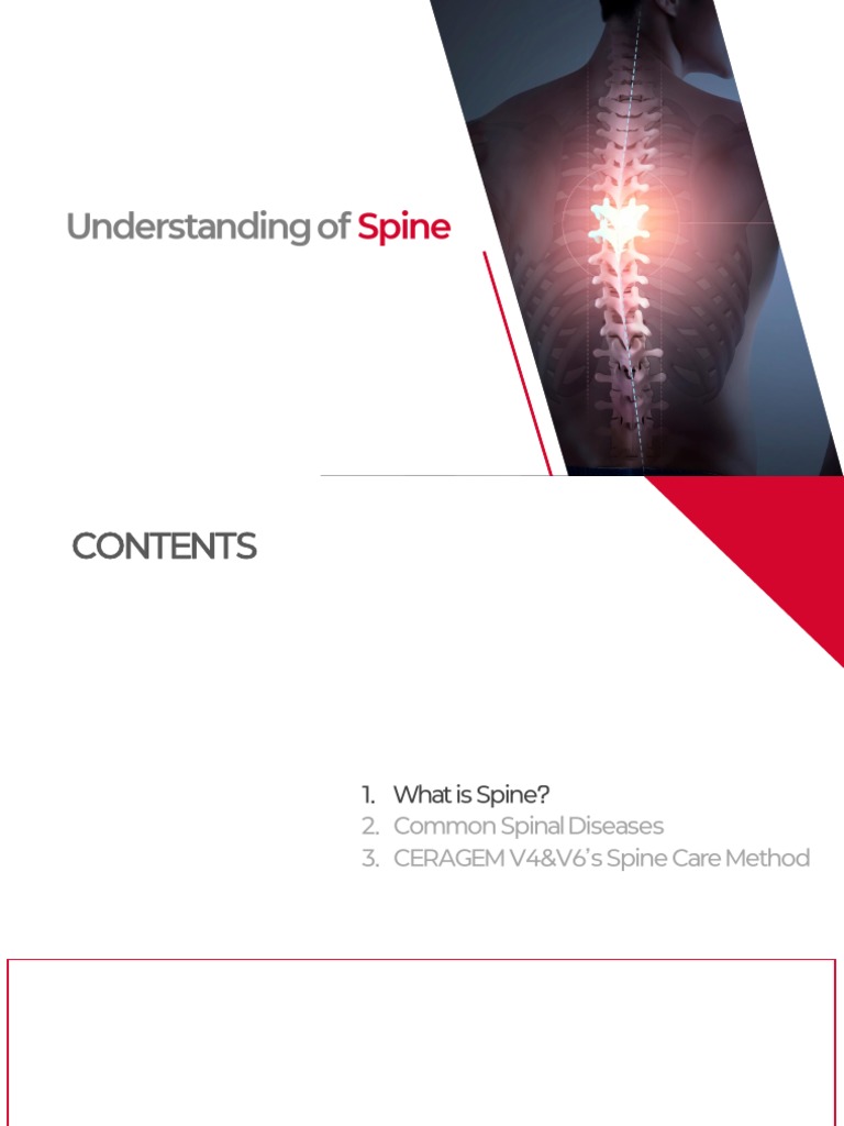 Understanding of spine | PDF