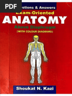 Head & Neck Anatomy Johari Mbbs - 221130 - 211509 | PDF