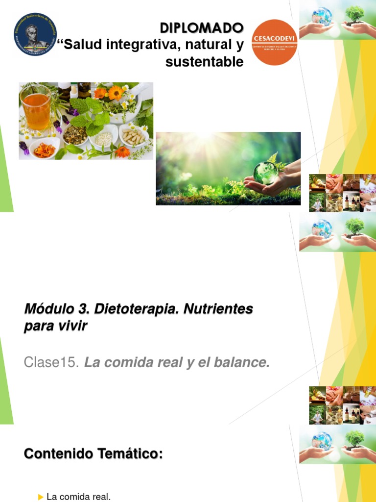Modulo 3 Clase 3 Diplomado LA COMIDA REAL Y EL BALANCE. DOCTORA FABIOLA ...