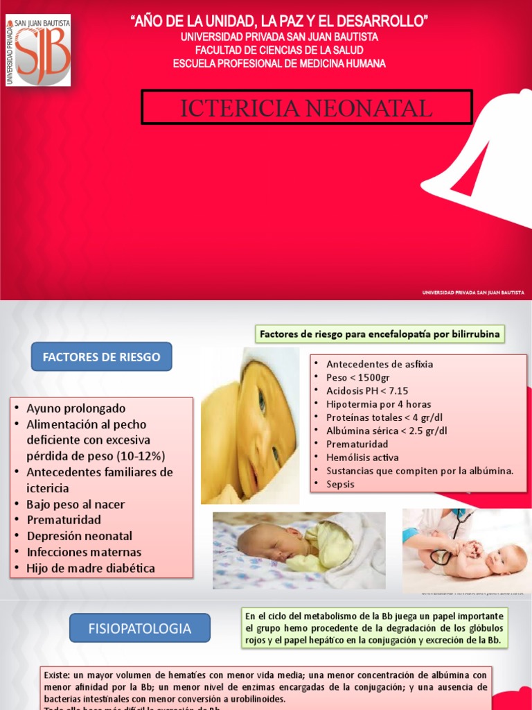 Ictericia Neonatal: Factores y Fisiopatología | PDF | Salud y bienestar ...