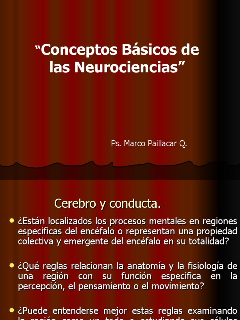 Conceptos Básicos de La Neurociencia (Cerebro y Conducta) | PDF | Cerebro | Hemisferio cerebral