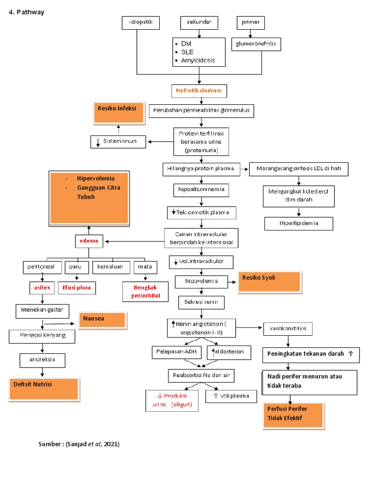 Pathway Sindrom Nefrotik | PDF