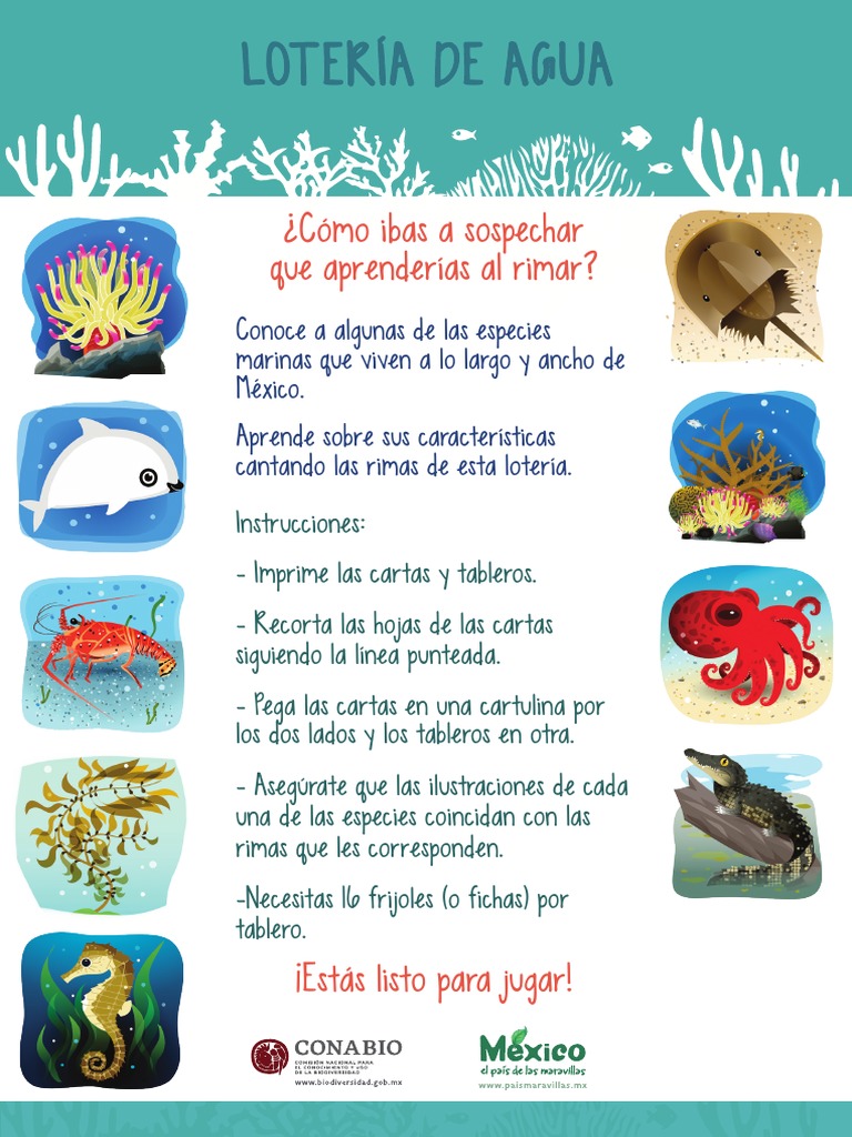 Loteria de Agua Tableros | PDF | Animales acuáticos | Pescado