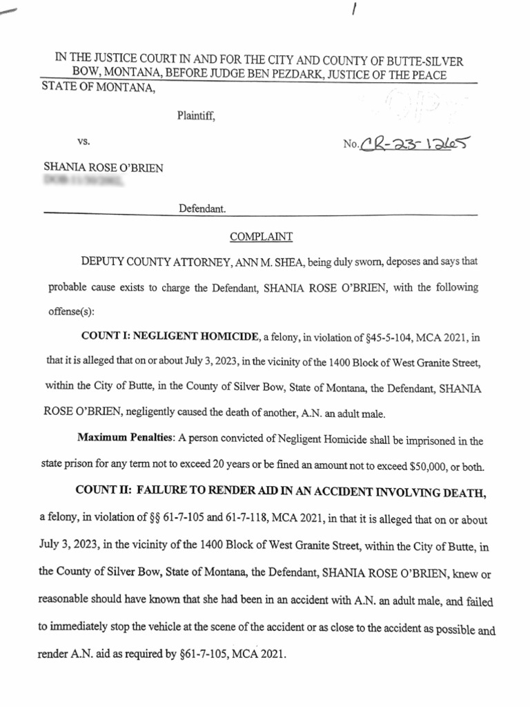 Shania O'Brien Charging Documents | PDF