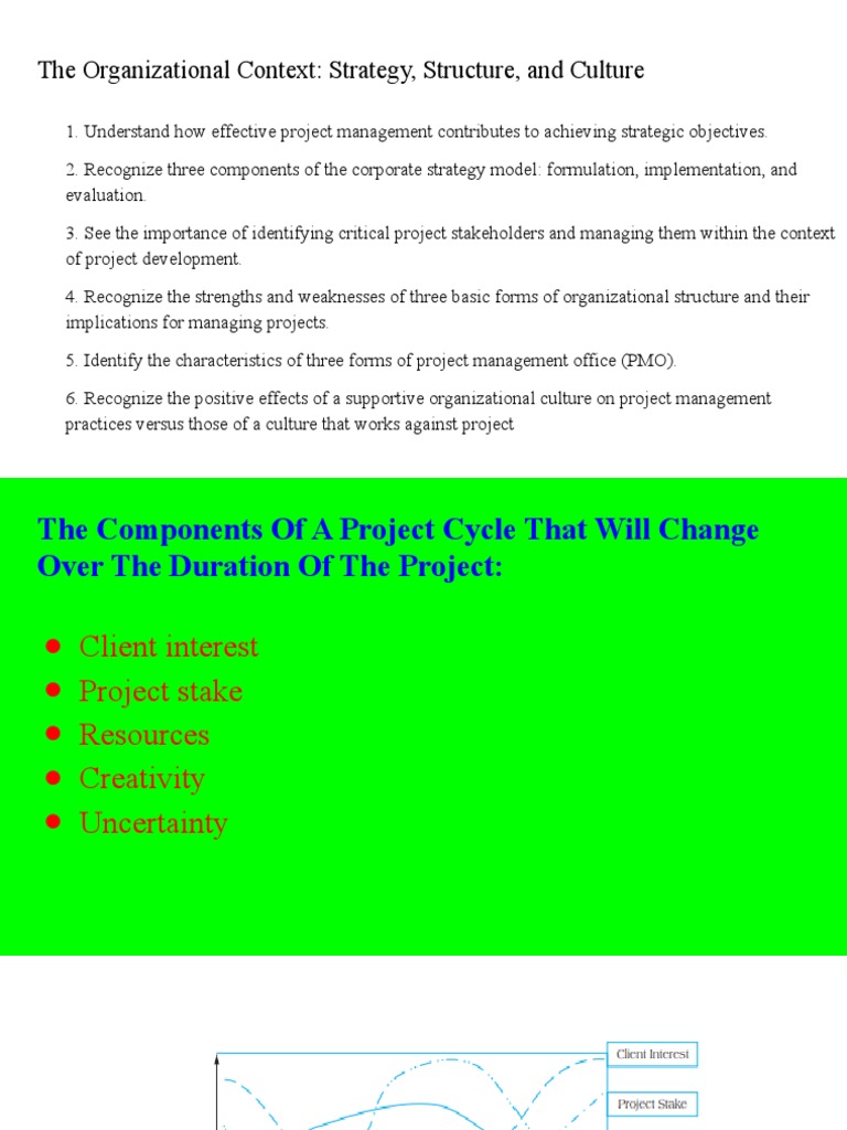 The Organizational Context - Strategy, Structure, and Culture | PDF