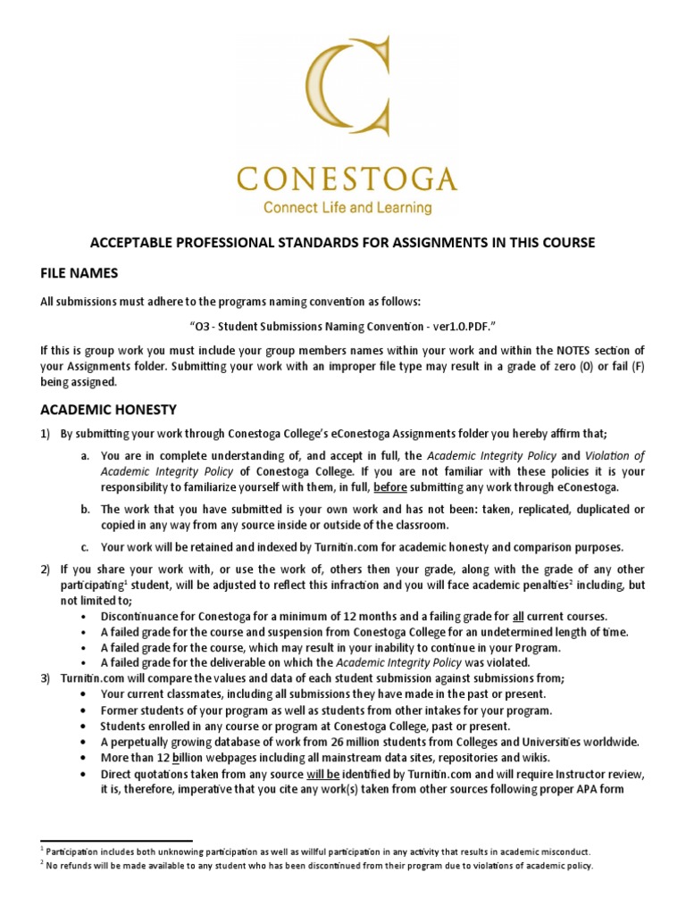 Acceptable Professional Standards | PDF | Turnitin | Academic Dishonesty