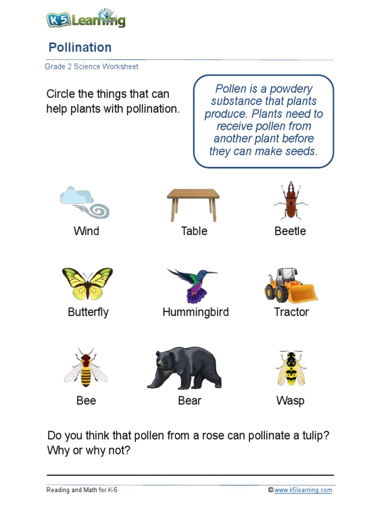 grade-2-pollination-a | PDF