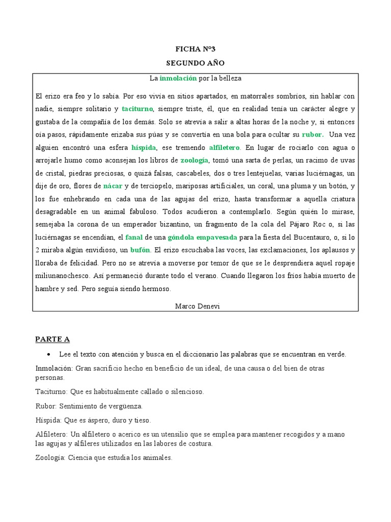 Ficha 3 Segundo | PDF | Belleza | Discriminación