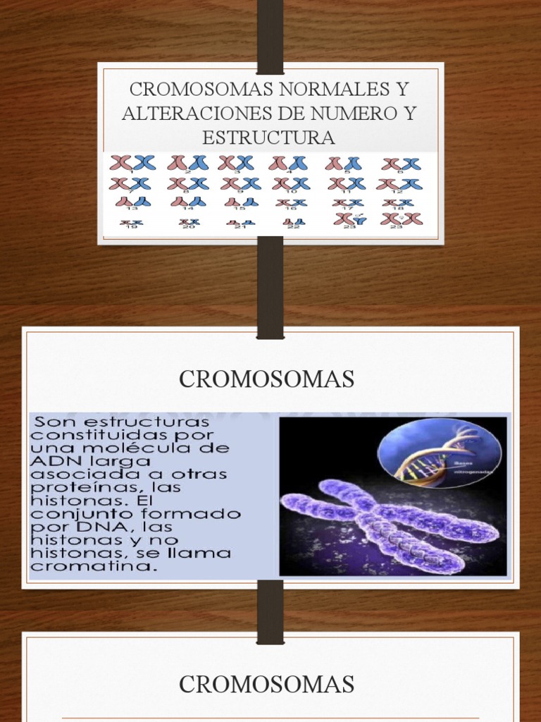 Tema 3 Cromosomas Normales y Alteraciones. | PDF | Cromosoma | Síndrome de Down