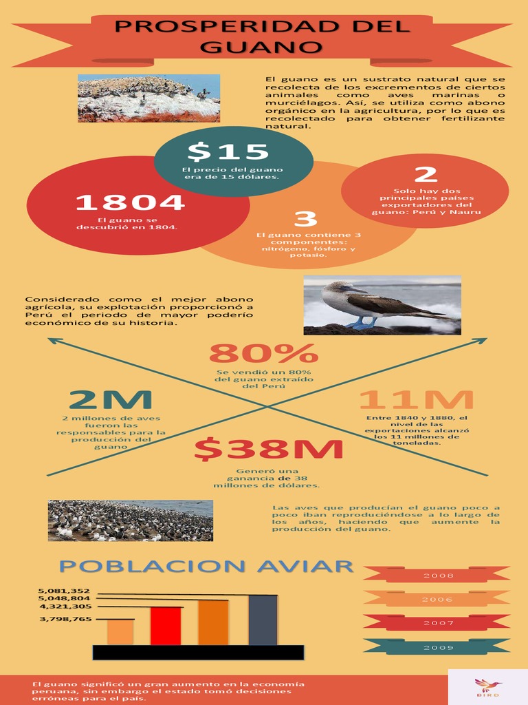 infografia guano | PDF | Fertilizante | Economias
