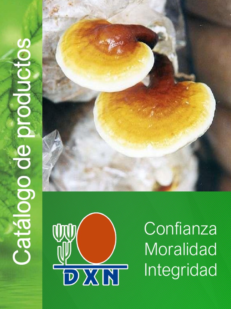 DXN Catalogo Verde 2023 | PDF | café | Antioxidante