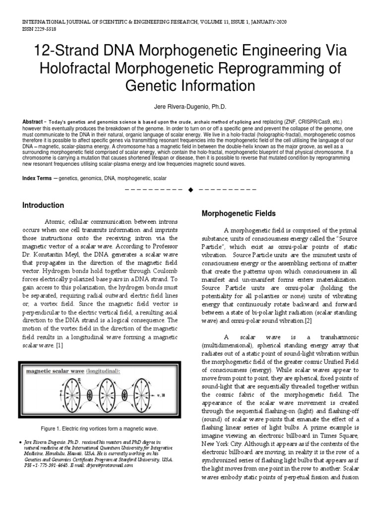 12 Strand DNA Morphogenetic Engineering | PDF | Dna | Gene