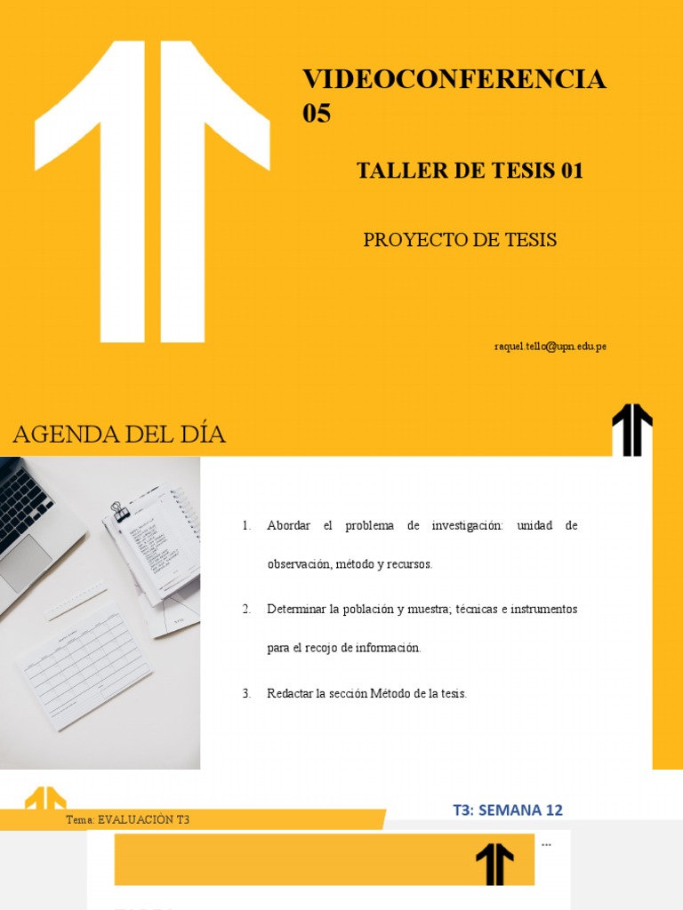 VIDEOCONFERNCIA Dra. Raquel Tello | PDF