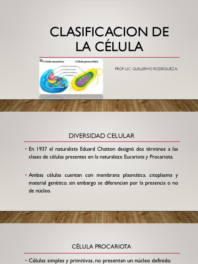 Clasificacion de La Célula | PDF | Biología Celular) | Citoplasma