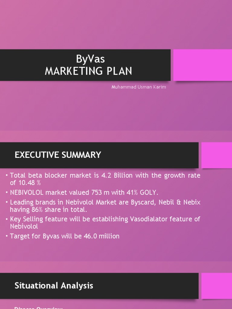 ByVas Marketing Plan | PDF