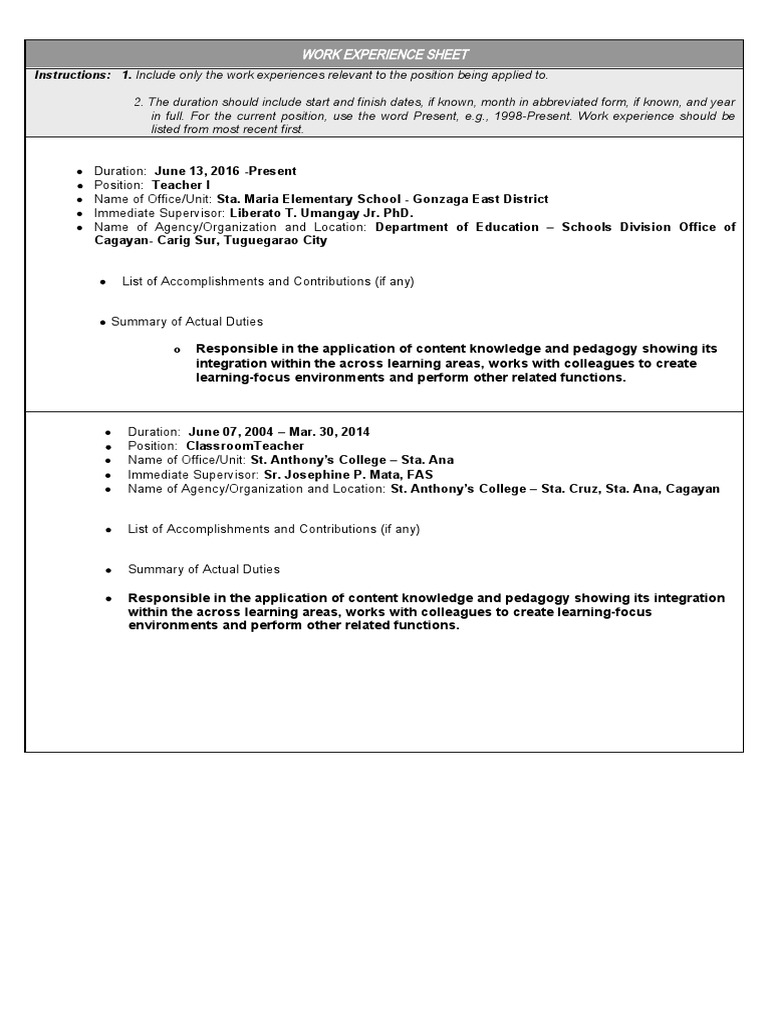 Work Experience Sheet | PDF | Computing