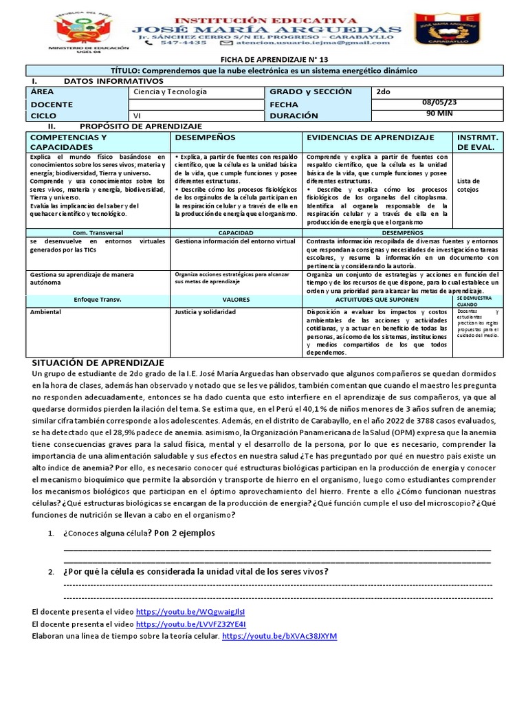 FICHA 13 EXPLICA-citología | PDF | Biología Celular) | Citoplasma