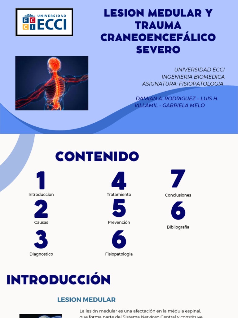 Lesión Medular y Trauma Craneoncefalico Severo-1 | PDF | Lesión de la ...