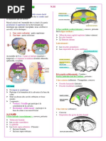 Anatomie et Fractures du Rocher | PDF | Tête et cou chez l'humain ...