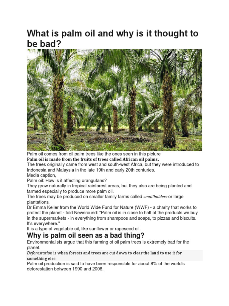 Palm Oil Study | PDF