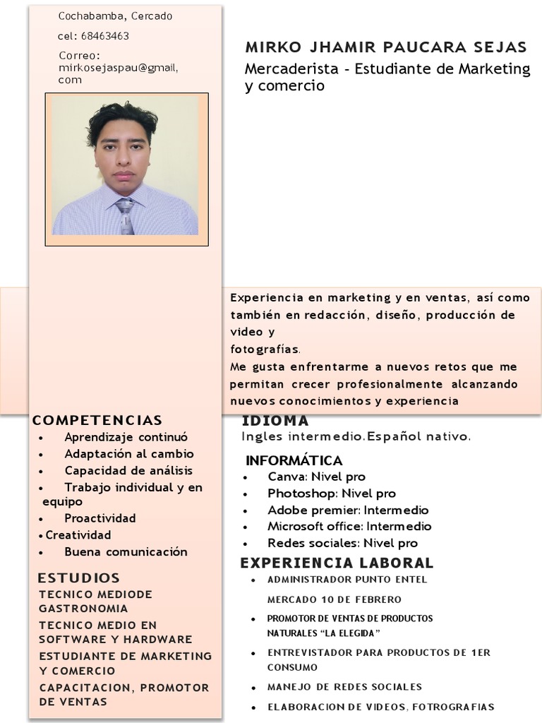 Curriculum Mirko | PDF | Crecimiento personal y profesional