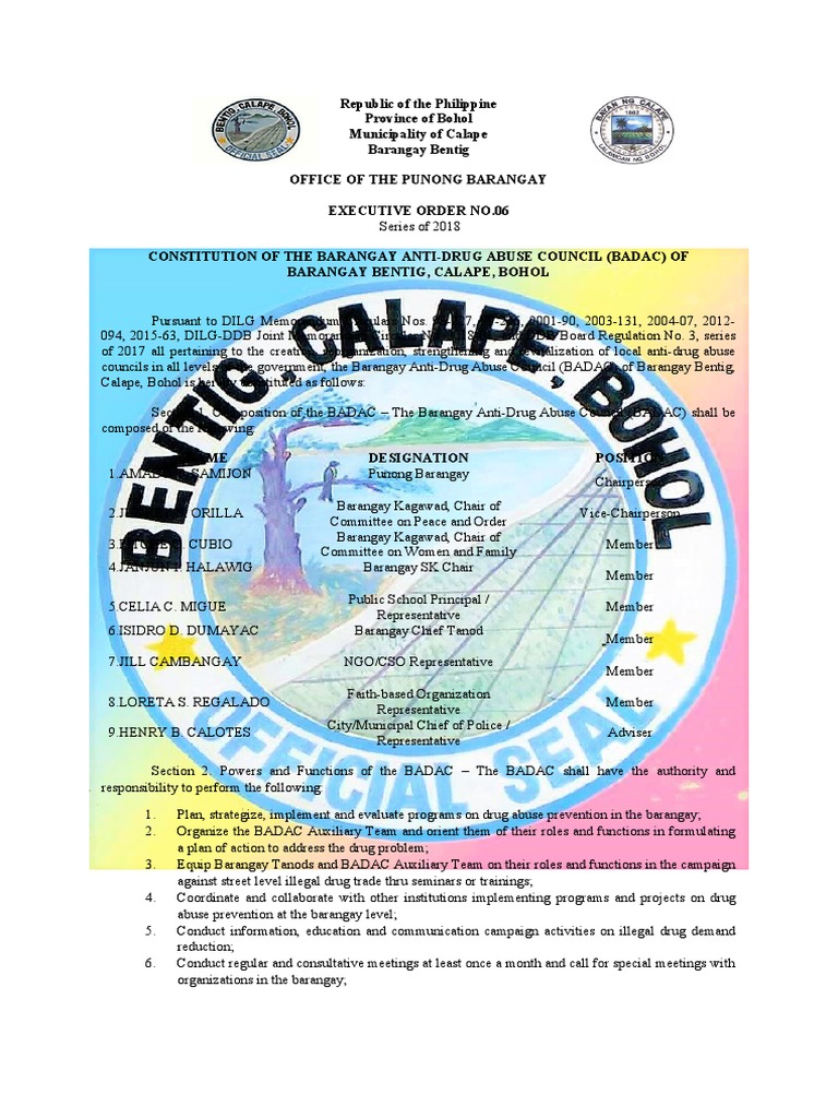 Barangay Executive Order | PDF