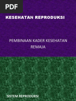 Panduan Penerapan Bundle Hais | PDF