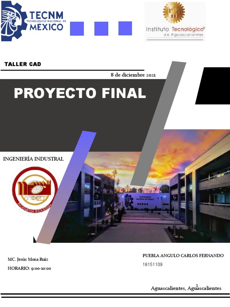 Proyecto Final Puebla | PDF