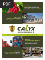 IBAPI Auction FAQ | PDF | Auction | Banks