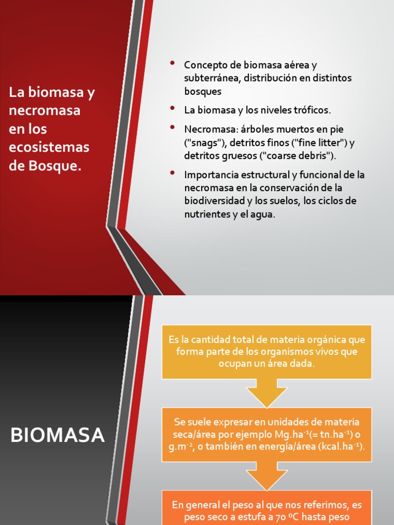 Biomasa Necromasa 2021 | PDF | Arboles | Biomasa (Ecología)