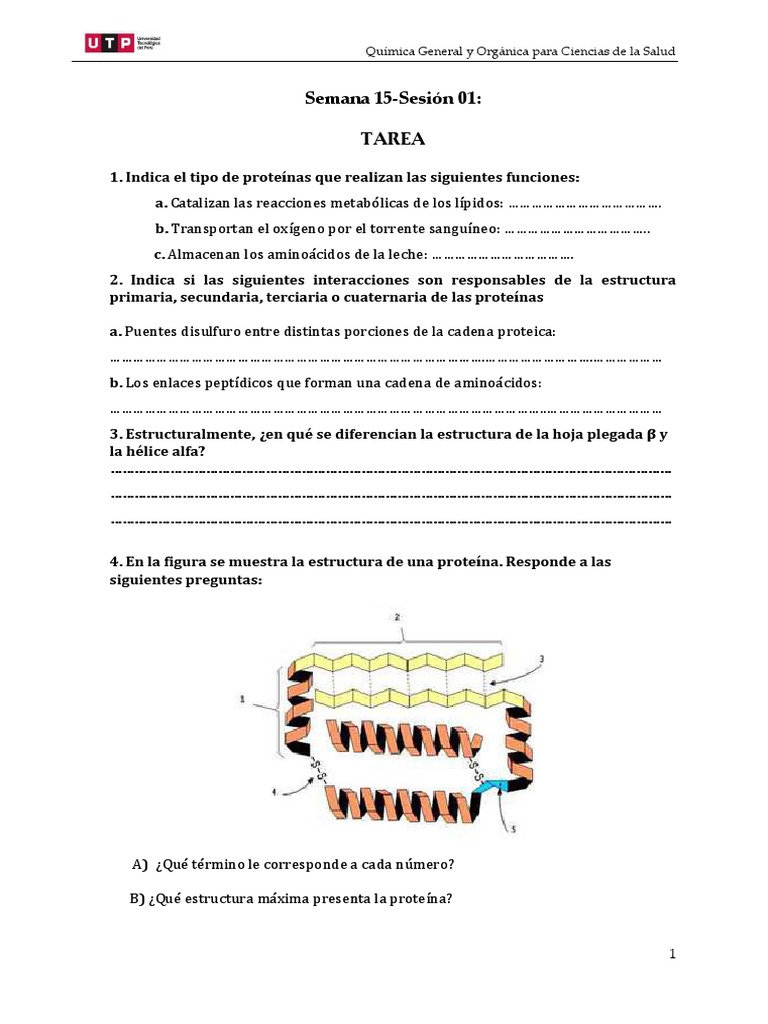 S15.s1-Tarea Calificada-1 | PDF