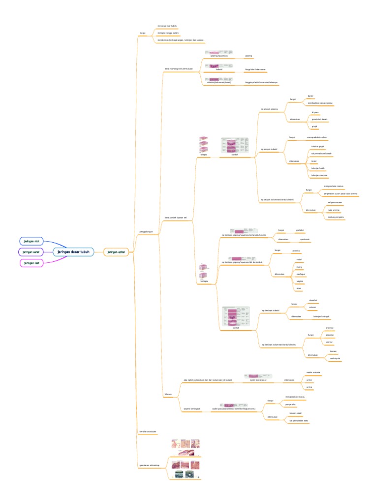 Mind Map Jaringan Epitel Histologi | PDF