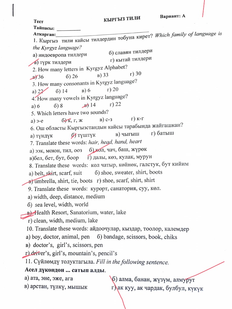 Kyrgyz Language Quiz and Exercises | PDF