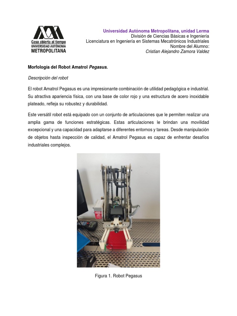 Morfología Del Robot Amatrol Pegasus | PDF