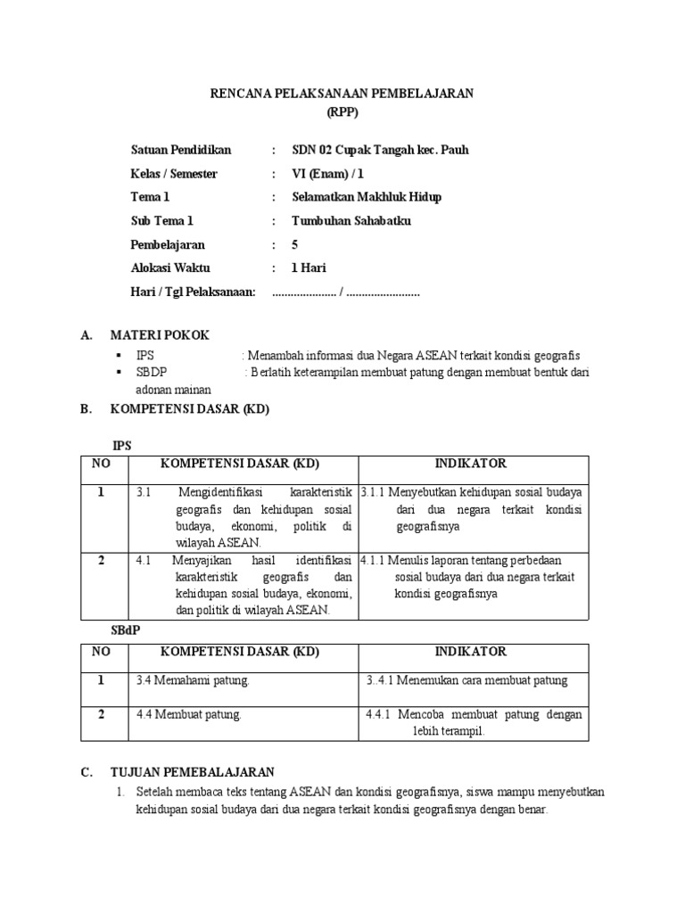 Rpp Tema 1 Sub 1 Pb 5 | PDF