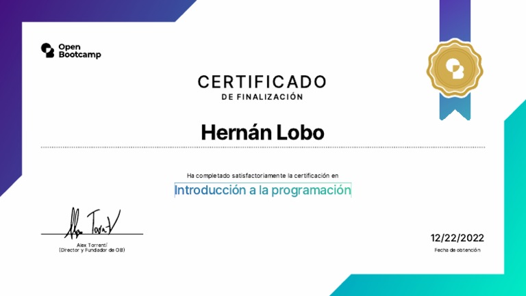 1-Introduccion a la programacion - OpenBootcamp | PDF