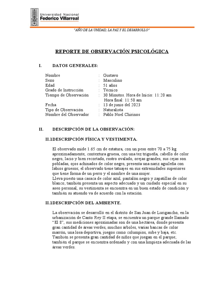 REPORTE DE OBSERVACIÓN DE CONDUCTA | PDF