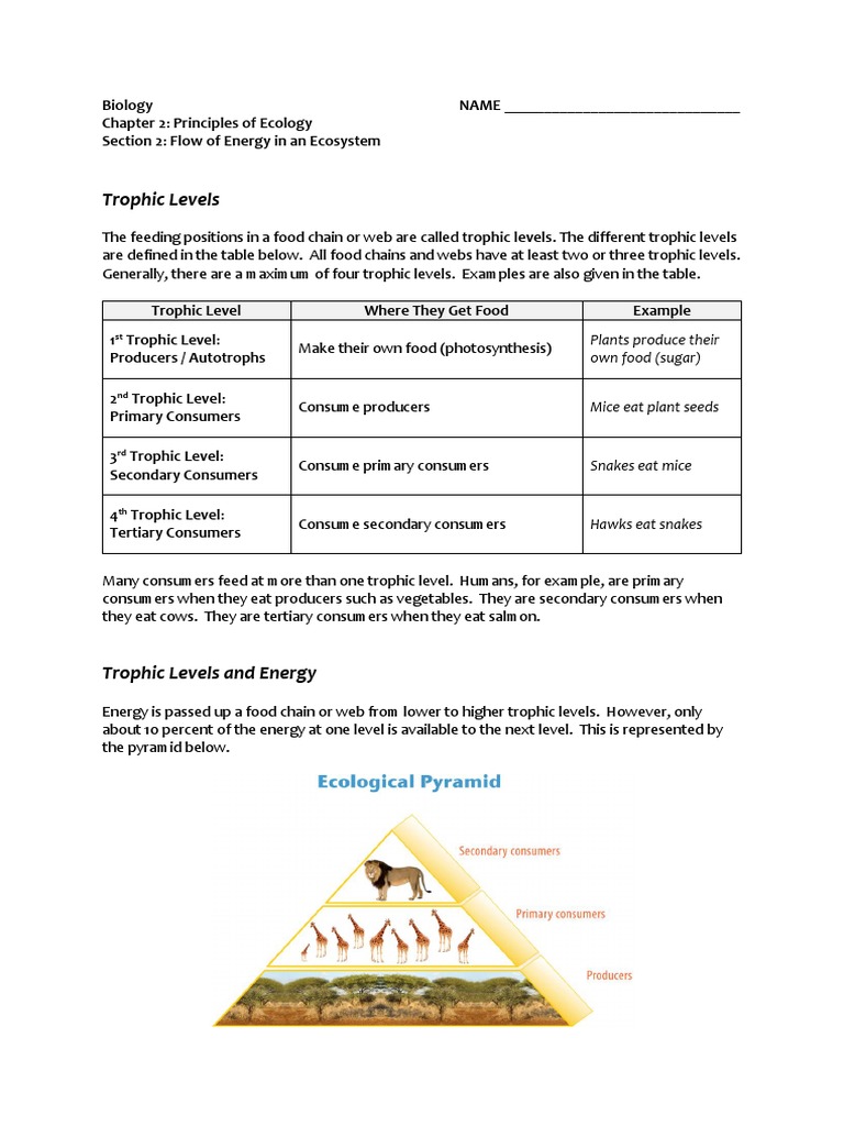 Ch.2.2 Ecological Pyramid Worksheet | PDF | Food Web | Biomass (Ecology)